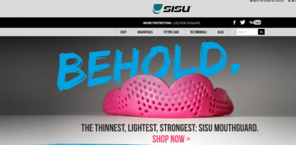 SISU Guard: A Year In Review - 2016