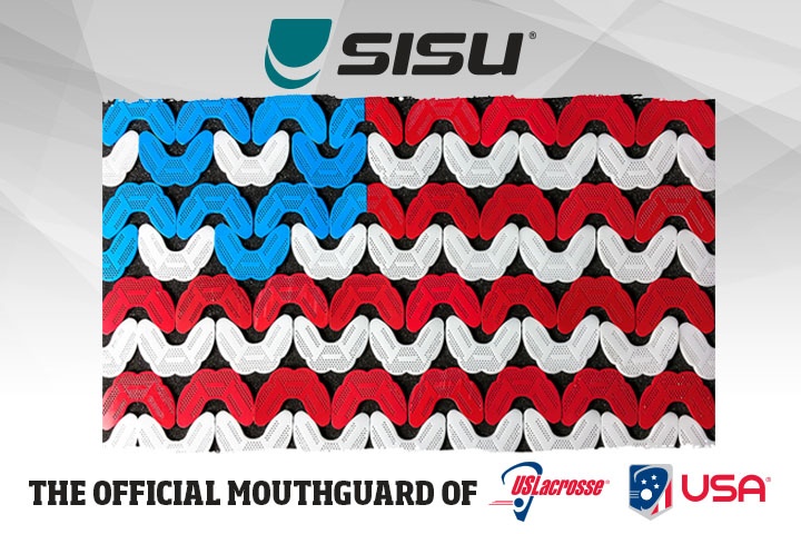 SISU Guard: A Year In Review - 2016